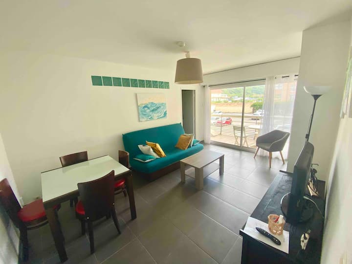 Sables D’or Bord De Mer Beau T2 Terr Pkg 4 Pers - Biarritz
