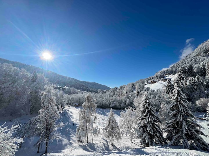 Appartement 50m2 Devant Le Lac De Flumet - Hauteluce