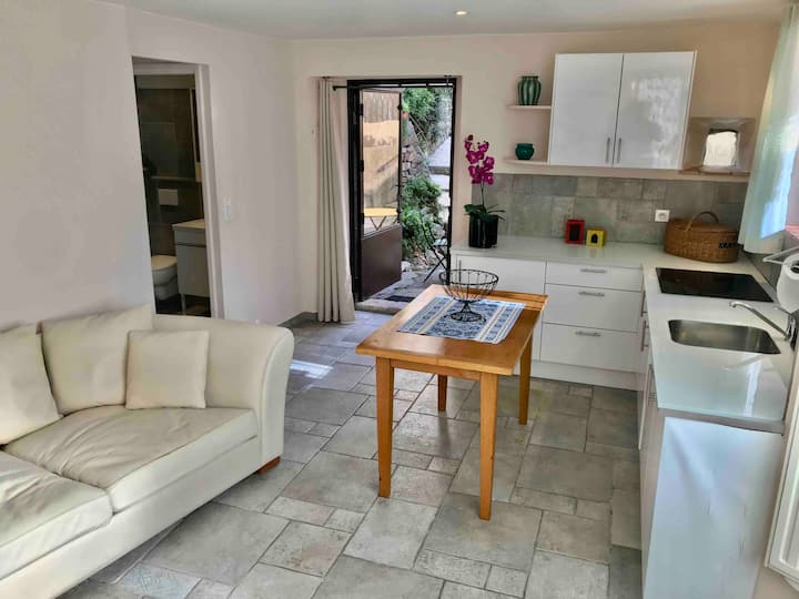 Appartement Charme Et Silence Proche Cannes - Auribeau-sur-Siagne