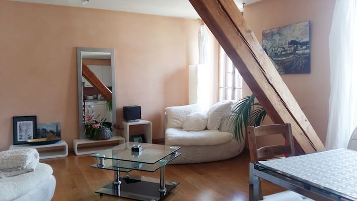 Home Sweet Home (2 Rooms, 3 People, Vevey Center) - Vevey