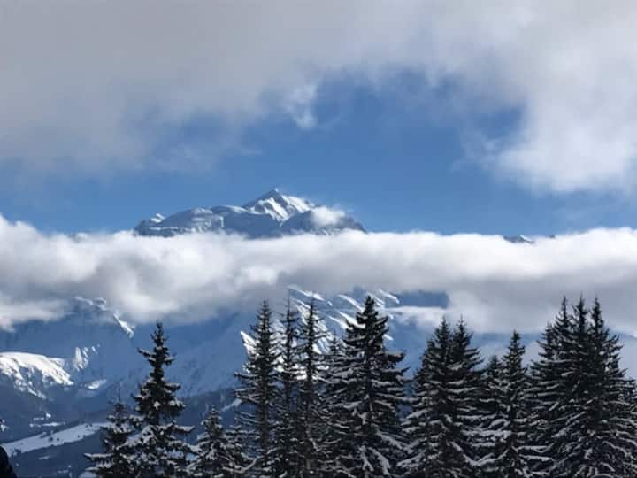 Magnifique Vue Chaine Du Mont Blanc - Combloux