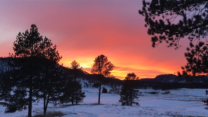Custer Blue Bird Haven In Beautiful Valley Setting - Custer, SD