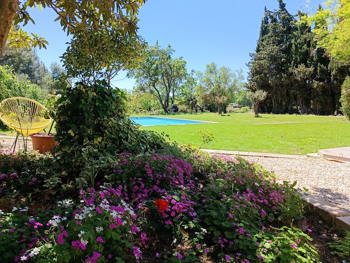 Villa Piscine-spa Nature-loisirs Près Mont Ventoux - Carpentras
