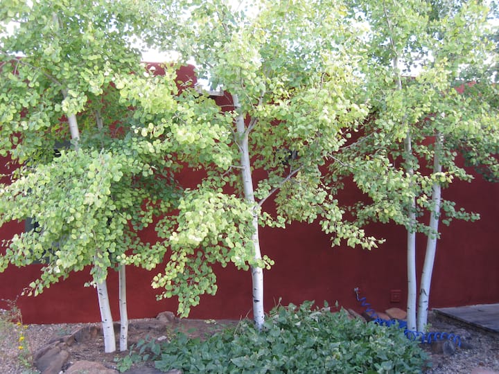 The Pinon Studio - Santa Fe, NM