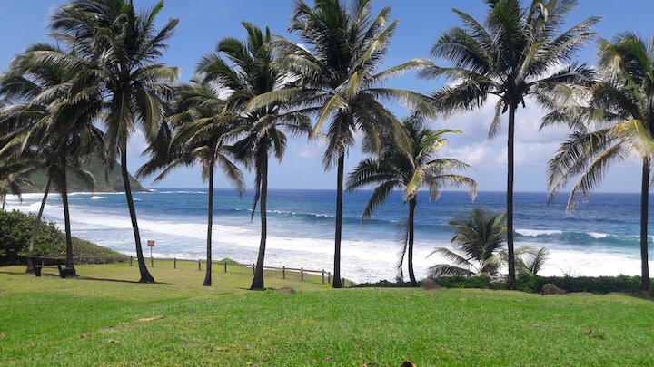 Les Pieds Dans L'eau - Martinique