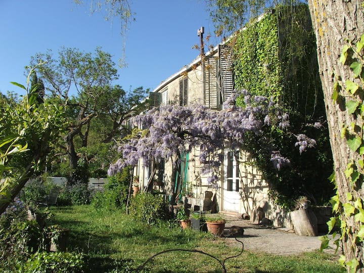Antico Palmento Di Casa Dei Salici - Italia