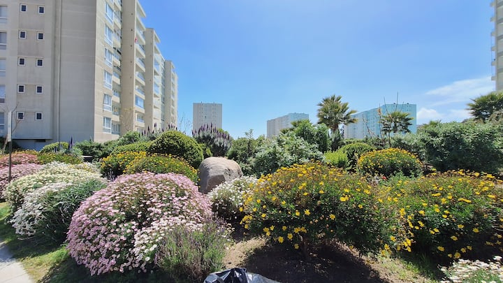 Hermoso Departamento En Condominio Frente Al Mar - Papudo