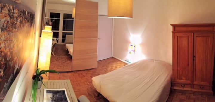 Chambre Privée Avec Terrasse Panoramique Sur Metz - Metz