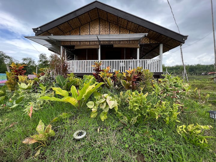 Modern Bamboo House In The Middle Of Ricefield - Tigbauan