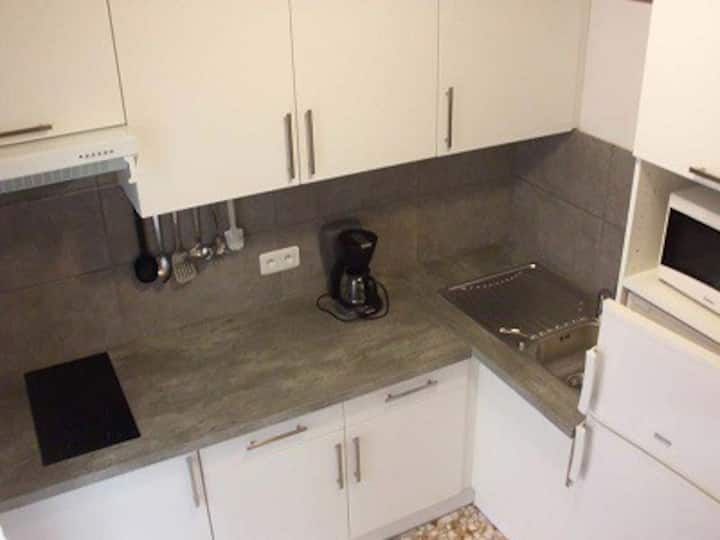 Beau T1-cuisine éQuipée-jardinet-parking Privé N°1 - Amélie-les-Bains-Palalda