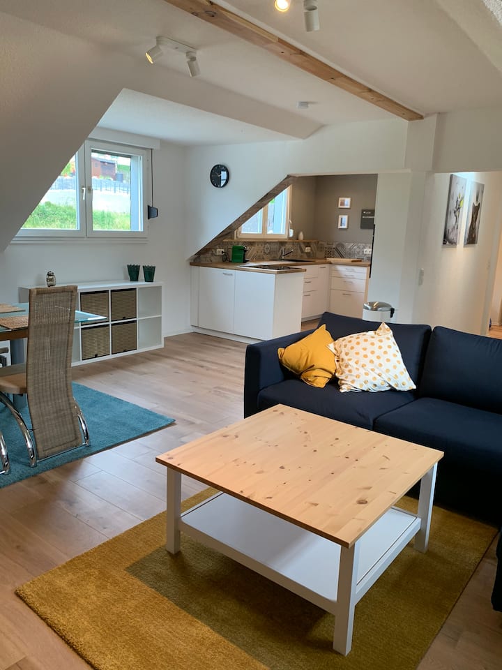 Gemütliche Wohnung In Den Weinbergen - Schweich