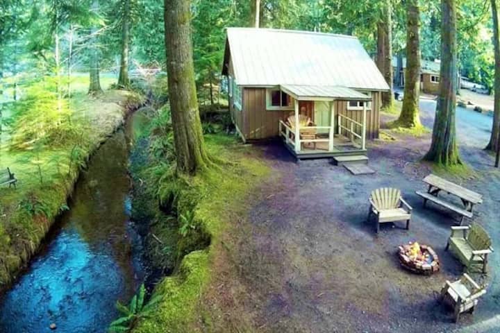 Pine Cabin On The Creek - Ashford, WA