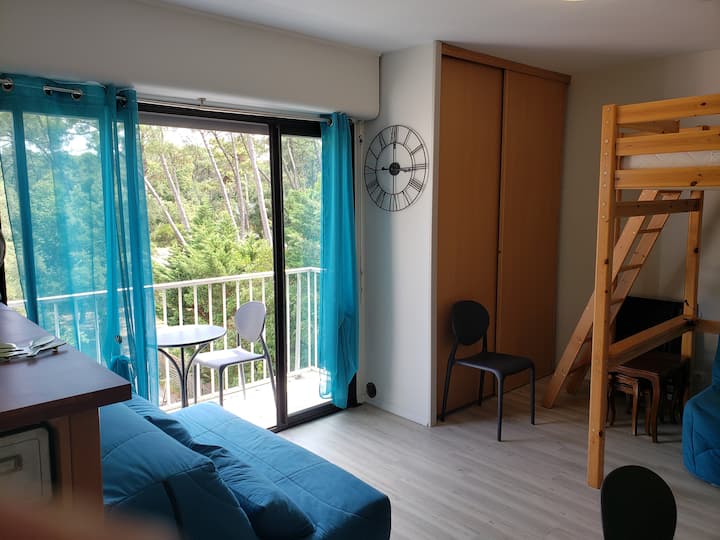 Studio 2 Personnes Proche Lac Et Plage - Seignosse