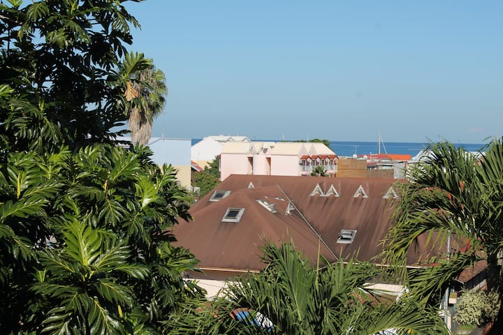 L'oiseau Des Iles - Les Anses-d'Arlet