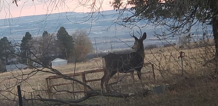 Rocky Mountains Farm Stays - Paonia, CO