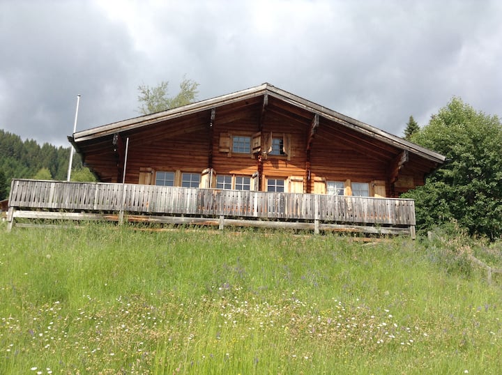 Charmant Chalet Aux Diablerets - Les Diablerets