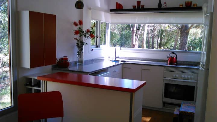 Contenedor Rojo, Lugar Arbolado Y Tranquilo. - Balneario Buenos Aires