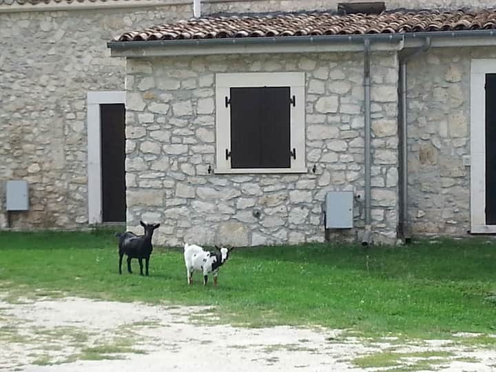 Il Rifugio Di Peppino Per Famiglie E Escursionisti - Abruzzen