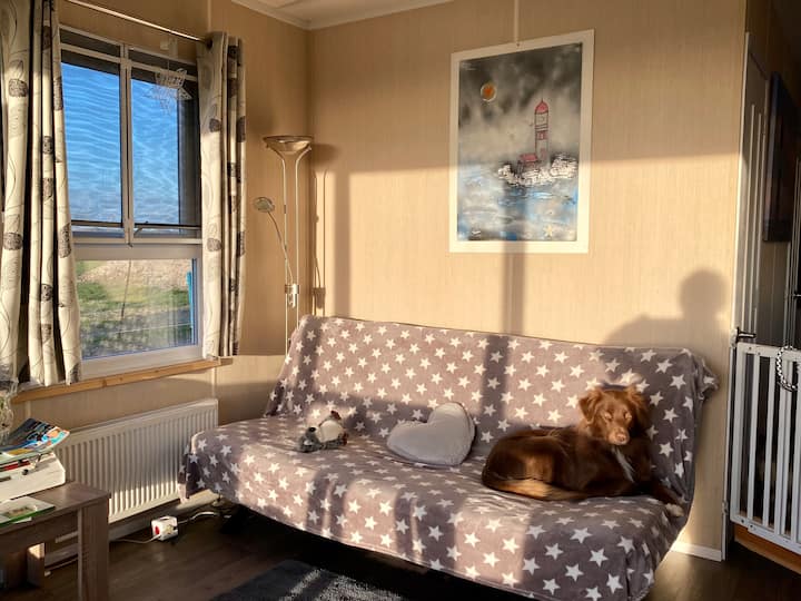 Villa Sorgenfrei Urlaub Mit Hund - Zeeland