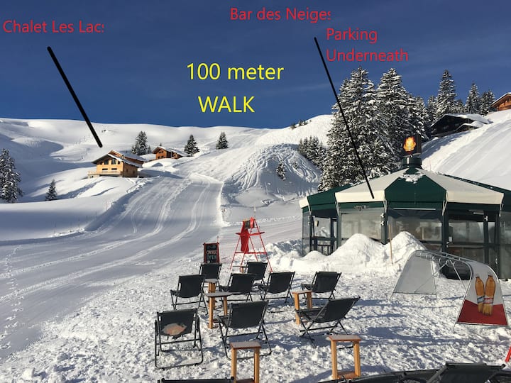 Ski In/ski Out. Chalet Suisse Luxe - Champéry