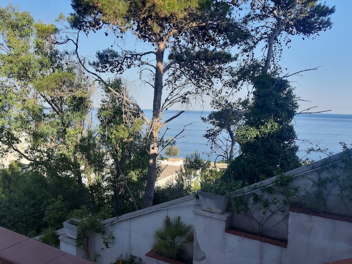 "Villa Rosa" Bilocale Con Giardino E Terrazza - Santa Cesarea Terme