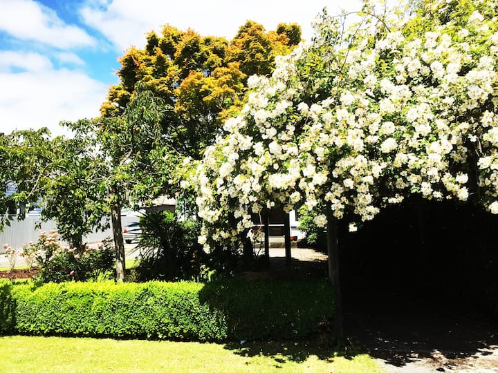 Groups Welcome! 5 Double Rooms, 3 Bathrooms - Invercargill