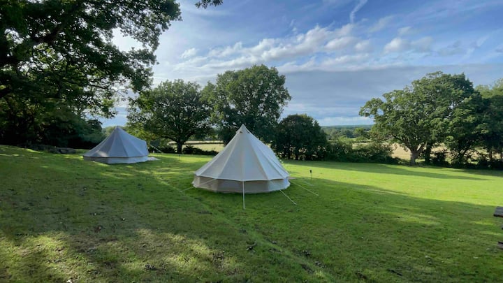 Alpaca Escape Glamping - Kent
