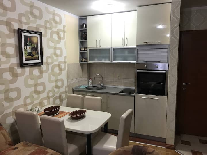 Vila Vidikovac Zlatibor Apartment - Zlatibor