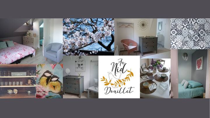Au Nid Douillet ~ Chambre Coquille (Familiale) - Saint-Aignan-sur-Cher