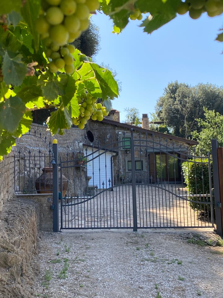 Casetta Santa Fortunata Guest House - Sutri