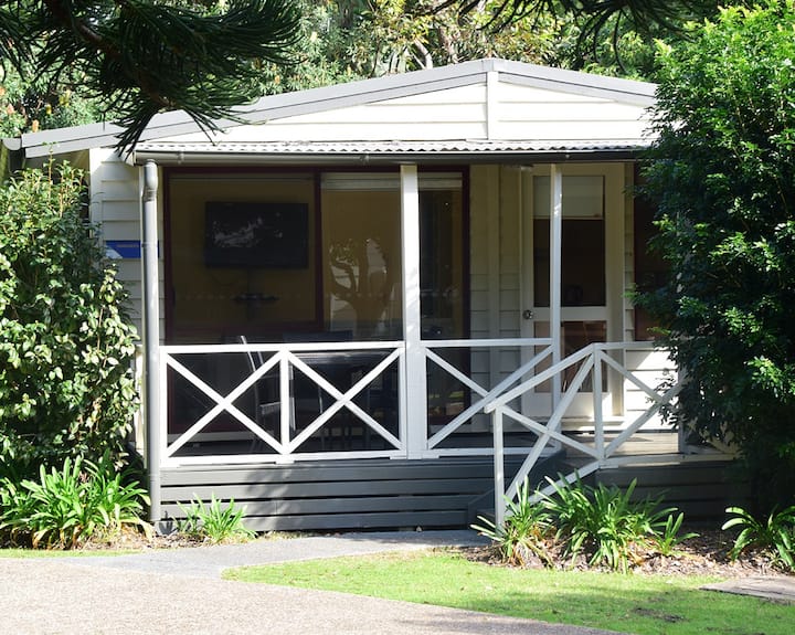 Narrabeen Cabin - Narrabeen