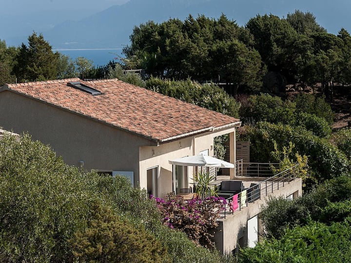 Porto Pollo  Appart  Vue Sur Mer 6/10 Pers 4 Ch - Serra-di-Ferro