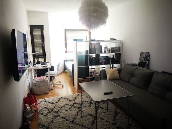 Wunderschöne Wohnung In Mannheim - Mannheim