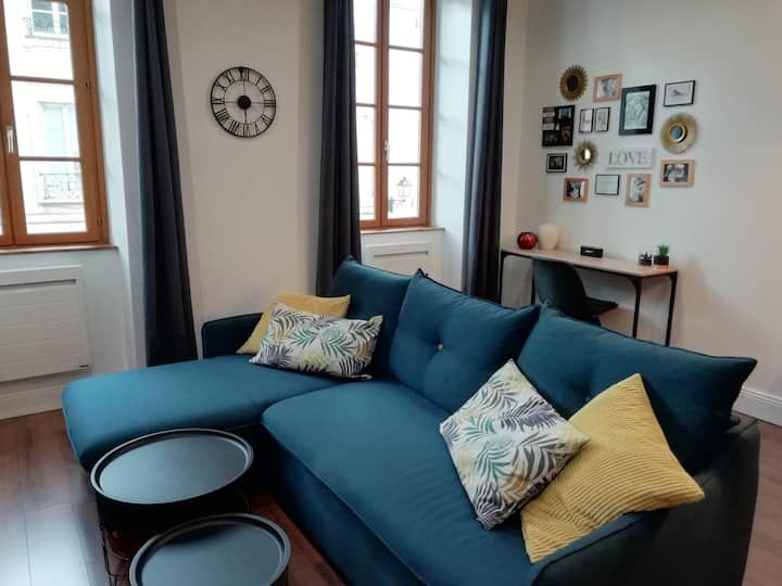 Très Bel Appartement – 45 M2 – Centre Historique - Université de Bourgogne