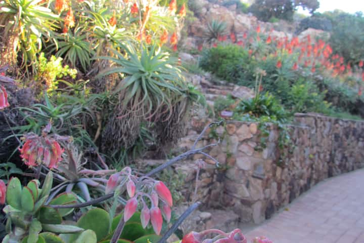Floracliffe Guesthouse & Self-catering-rose Room - Randburg