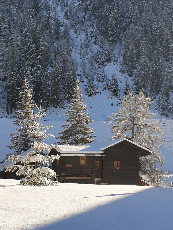 Zinal : Chalet/appartement Atypique - Zinal