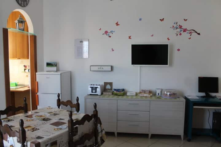 Bbmiraflores - Moncalieri