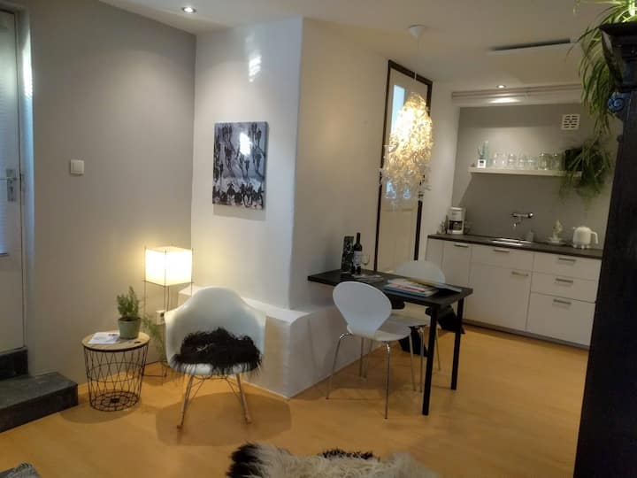 Appartement In Centrum Franeker Met Privé Tuin. - Harlingen