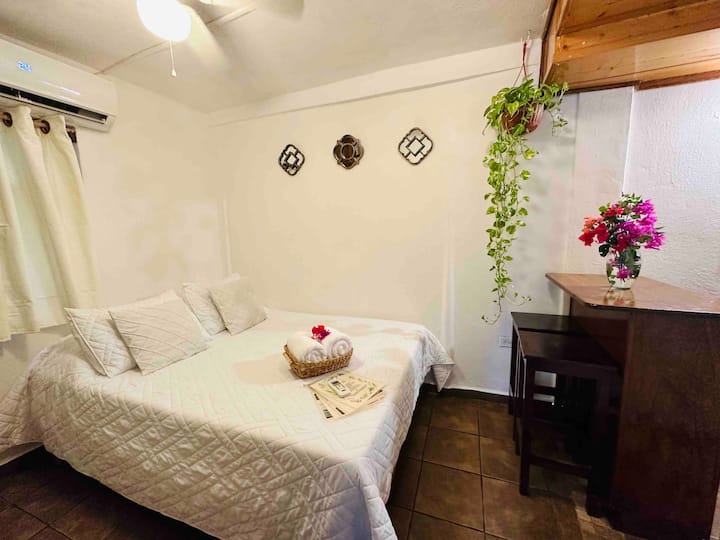 Downtown Tropical Oasis –&nbsp;5 Min Walk To The Marina - Cabo San Lucas