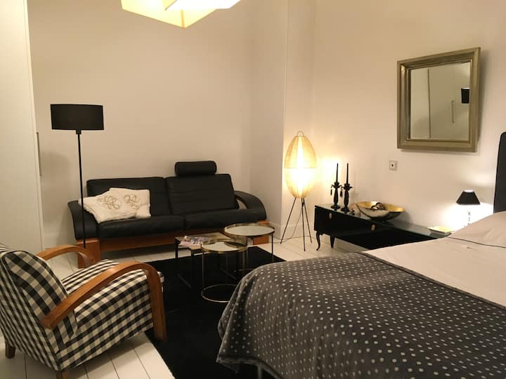 Très Belle Chambre Quartier Orangerie - Strasbourg
