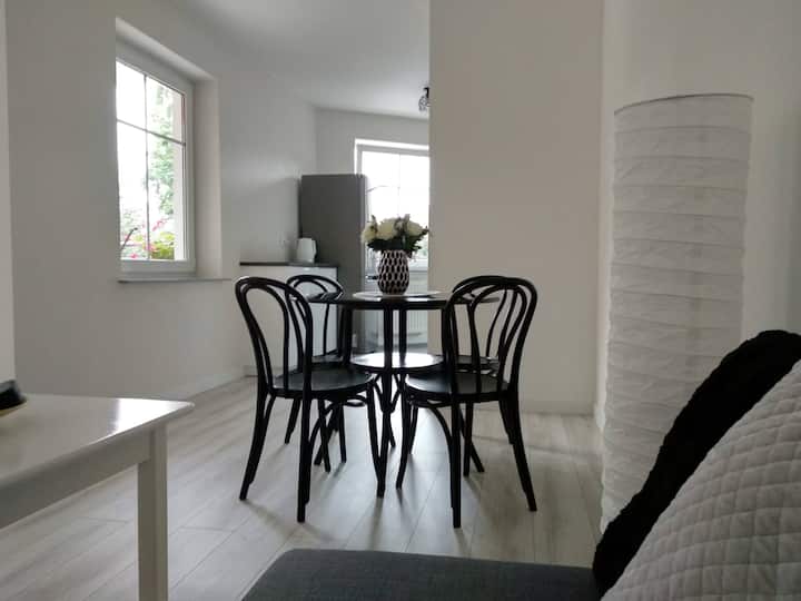 Ric Apart - Apartament Mostowa, Centrum Poznań - Poznań