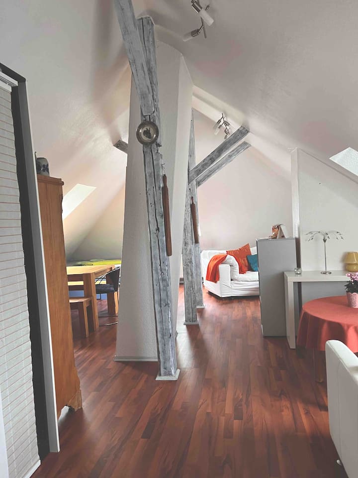 Kuschelige Dachwohnung - Bayreuth