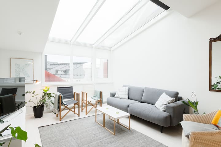 Spacious Top-floor Loft Studio Apartment - Helsinki