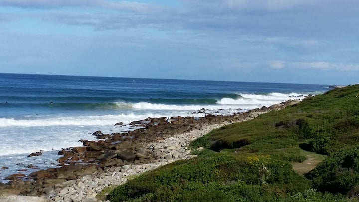 Endless Summer - Saint Francis Bay