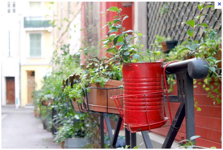 Charme Et Authenticité Au Coeur De Marseille - Parc et palais Longchamp - Marseille