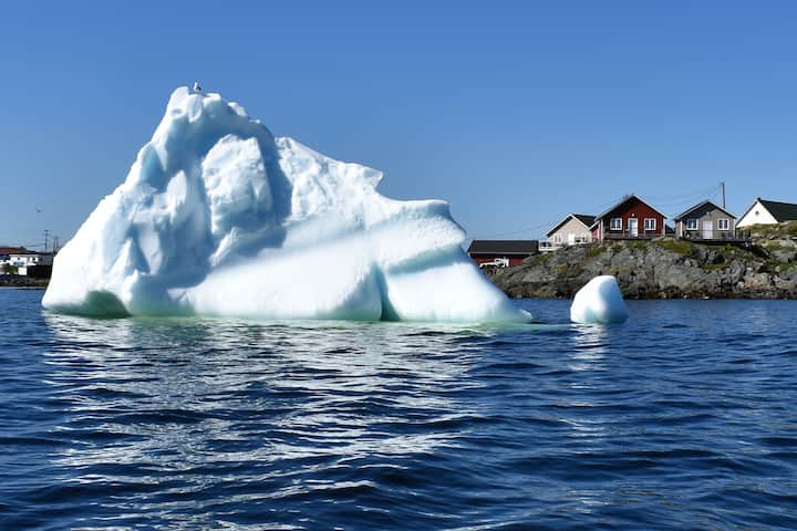 An Atlantic Ocean Retreat - Waterside Cottage #2 - Newfoundland and Labrador