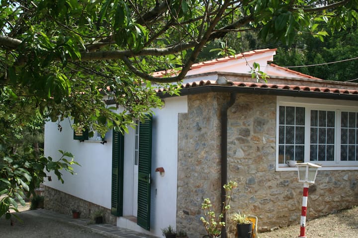 Casa Indipendente Nel Verde - Elba