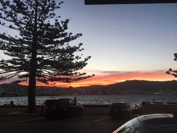 Oriental Parade Historic Apartment - Wellington