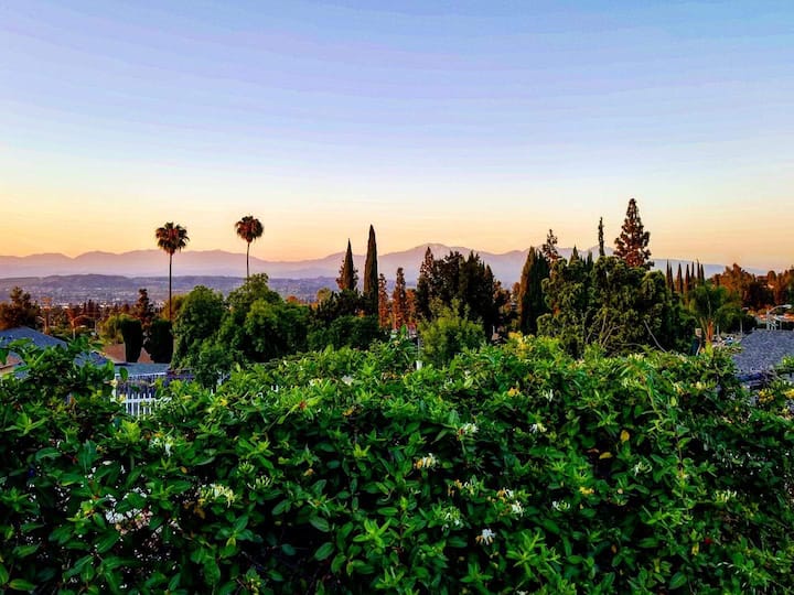 Modern Mountain-view Hammock & Greenroom! - Brea, CA