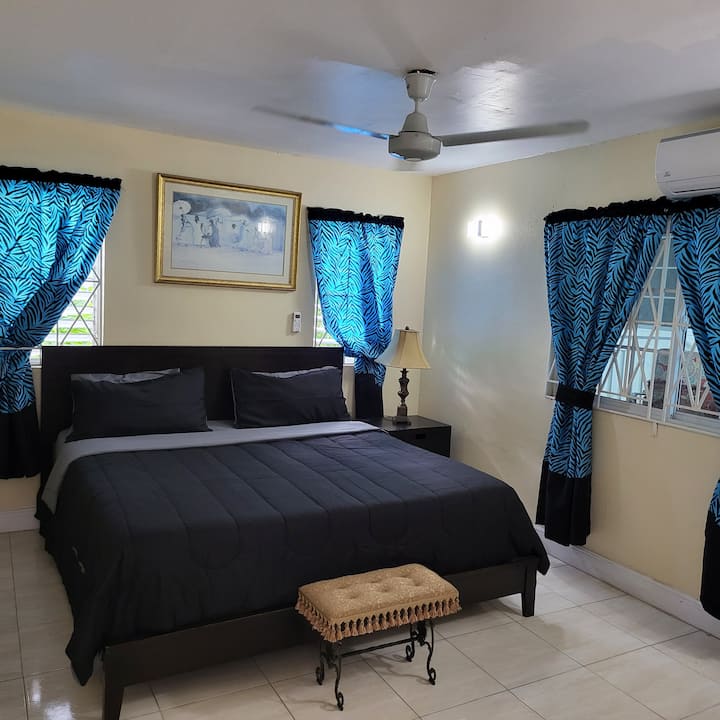 Large 1 Bd W King Size Bed & Rental Car Access - Kingston